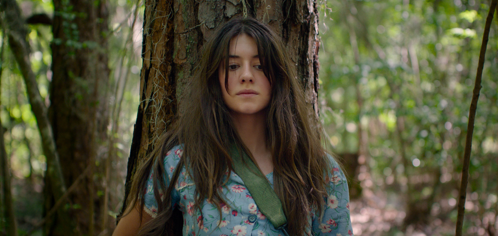 Film review: Where The Crawdads Sing - Law Society Journal